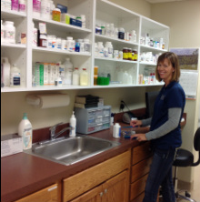 Small Animal - Tallgrass Veterinary Hospital